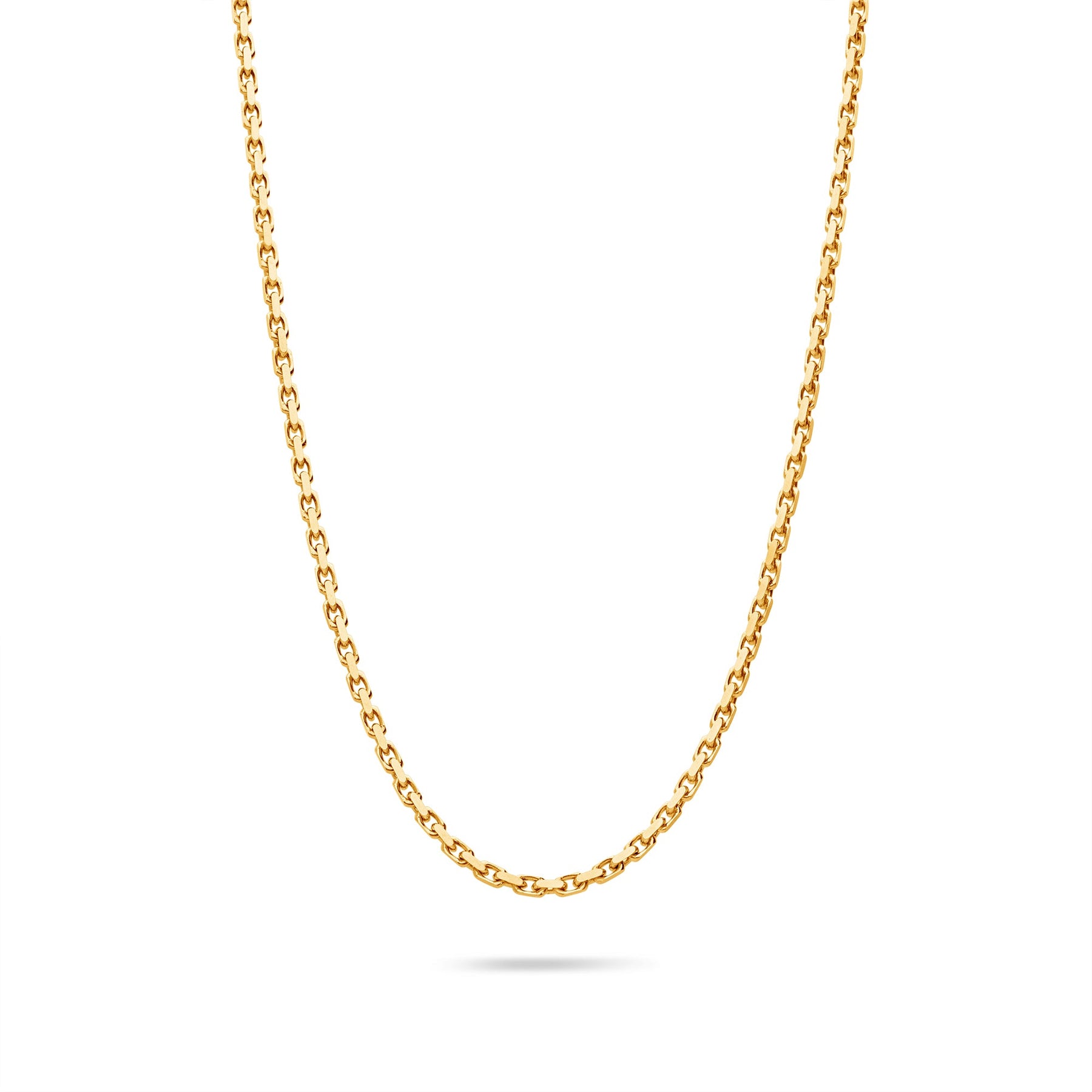 Gold Odin Link Chain (2mm) - IF & Co.
